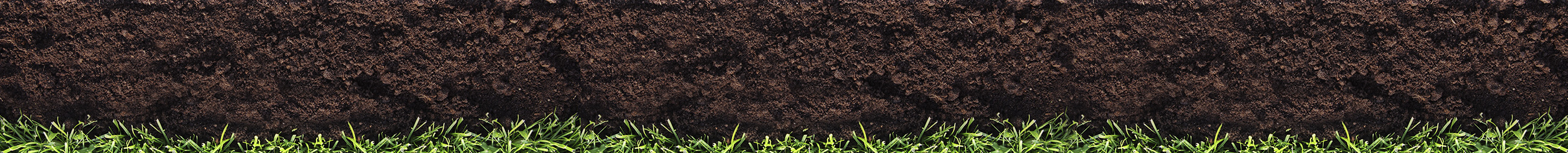 bg-turf-bottom - Colliers Turf Supplies